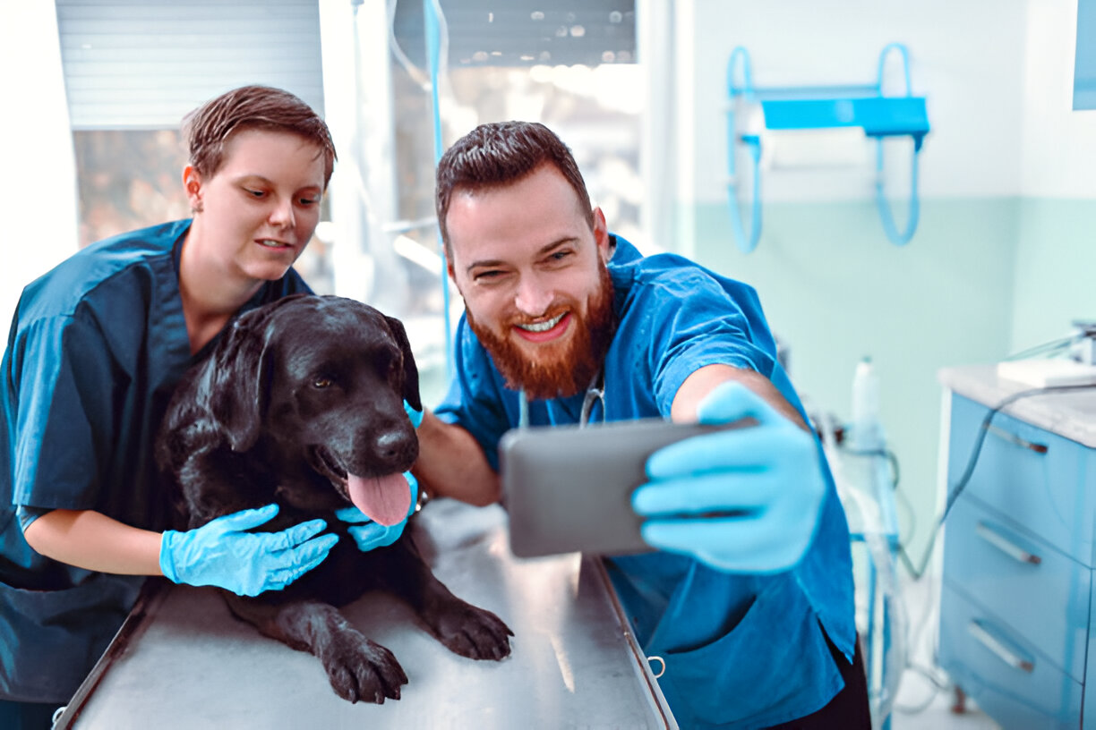 9 Veterinary Marketing Ideas to Boost Your Clinic's Growth