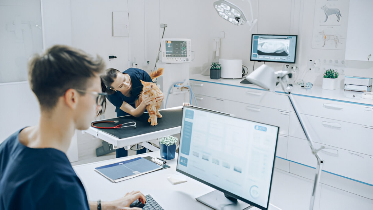 9 Veterinary Marketing Ideas to Boost Your Clinic's Growth